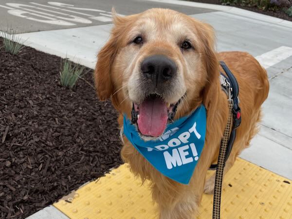 POMDR: Longfellow Deeds